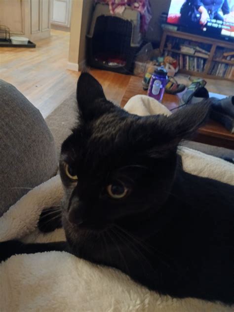 Pin De Patriciiamg En Cutie Pie Viernes De Princesas Imágenes