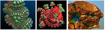 Solving The Rosenbrock Function Using An Evolutionary Algorithm James