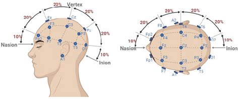 Figure 3 From Emotion Classification Of Eeg Signals Using Logistic Regression Classification