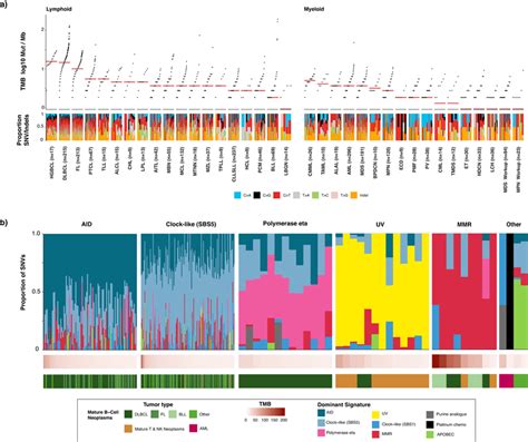 Mutation Signature Analysis In Msk Impact Heme Cohort A Prevalence Of Download Scientific