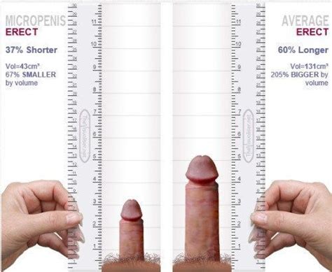 For Small Penis Sex Positions