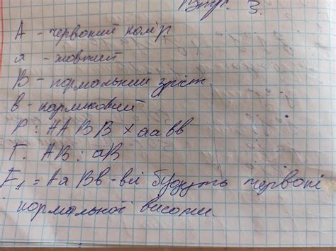 Дигібридне схрещування Які ознаки будуть мати гібридні томати F1 одержані в результаті