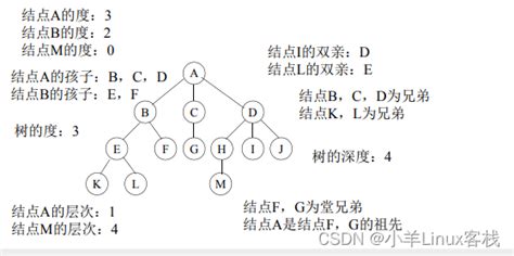 十一、数据结构——树（tree）的基本概念