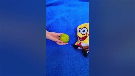 Spongebob Wait Youtube