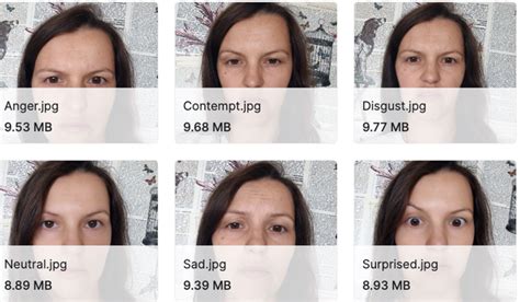 面部表情识别相关开源数据集汇总 知乎