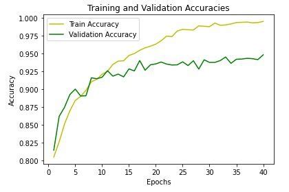 Training And Validation Curves To Test The Possible Number Of Epochs Download Scientific Diagram