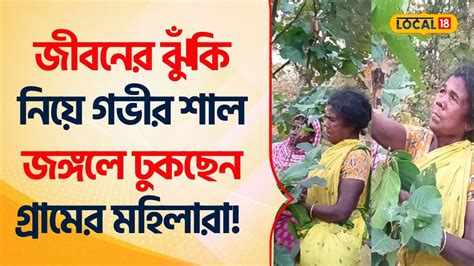 Bangla News জীবনের ঝুঁকি নিয়ে গভীর শাল জঙ্গলে ঢুকছেন গ্রামের মহিলারা করুণ ছবি Jhargram Local18