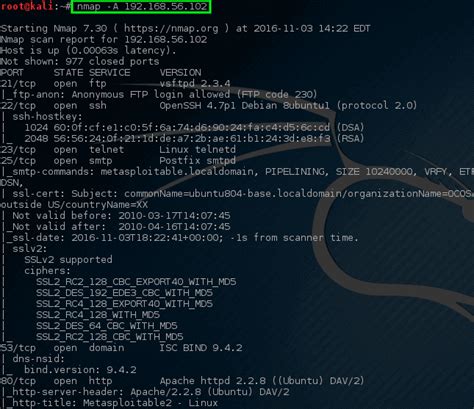在 kali linux 下实战 nmap（网络安全扫描器）