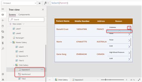 How To Display Dataverse Choices In Power Apps Gallery Enjoy Sharepoint