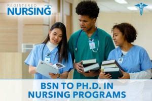 BSN To Ph D In Nursing Programs