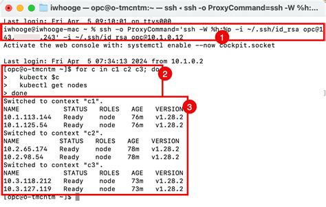 Use Terraform To Deploy Multiple Kubernetes Clusters Across Different Oci Regions Using Oke And