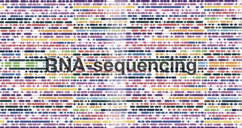 Rna Sequencing Principle Steps Methods And Applications