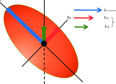 Ellipsoid Model Of Diffusion Tensor Imaging Dti Download Scientific