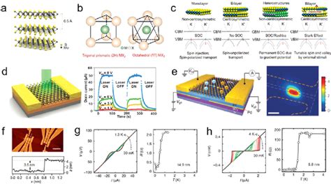 Structures And Properties Of 2d Tmds A Three Dimensional 3d Model Download Scientific