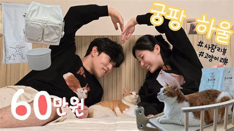 60만원치 사왔어요 2024 궁팡 하울 집사 둘과 모짜🐱의 리뷰 궁디팡팡 캣페스타 궁팡 일산 궁팡 Youtube