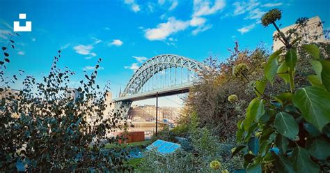 배경에 롤러 코스터가있는 정원 사진 Unsplash의 무료 뉴캐슬어폰타인 이미지