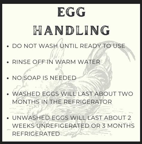 Egg Handling Instructions Etsy