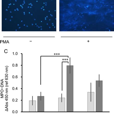 Induction Of Netosis By Phorbol 12 Myristate 13 Acetate Download Scientific Diagram
