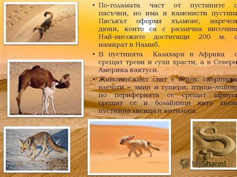 Презентация на тему За разлика от екваториалните гори зоната на