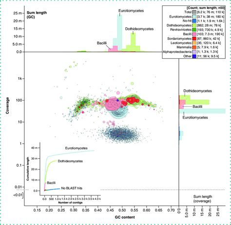 Taxon Annotated Gc Coverage Plot Blobplot Of Cmw55930 Assembly 1 Download Scientific Diagram