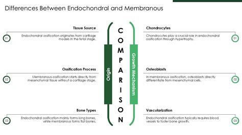 Endochondral And Membranous Ossification Ppt Powerpoint Acp Ppt Sample