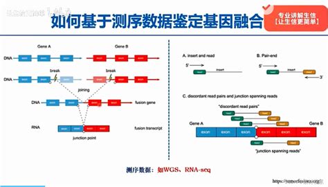 基因组变异与基因融合检测：测序数据的应用 Csdn博客