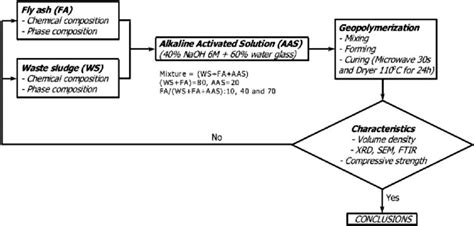 Schema Of The Experimental Procedure Download Scientific Diagram