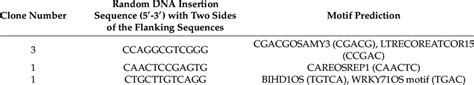 Random Dna Sequences And Motif Predictions Download Scientific Diagram