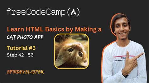 Catphotoapp Tutorial 3 Step 42 56 Learn Html Basics New Responsive Web Design