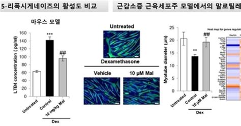 국내 연구진 ‘근감소증 치료 효과 美fda 승인 약물 발굴