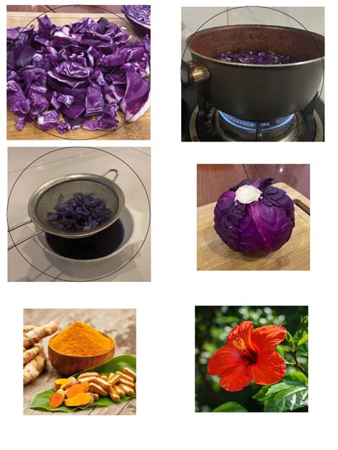 Natural Ph Indicators Pdf