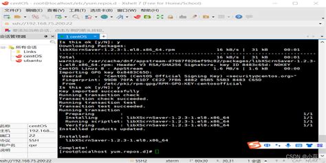Linux 管理软件包（安装wps）linux 脚本安装 Wps Csdn博客