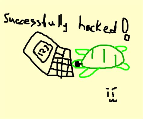 Turtle Coding Drawception