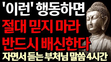 이런 사람 절대 믿지 마라 I 단칼에 인연 끊어야 할 사람 유형 L 노후에 반드시 멀리 해야 하는 사람 특징 I 자면서 듣는 부처님 말씀 L 지혜 I 오디오북 I 철학