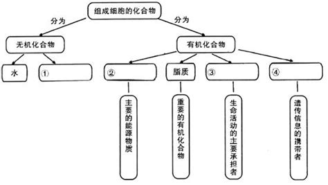 下图是植物细胞亚显微结构模式图 请据图回答下列问题 1 图中结构②是 是细胞内蛋白质合成和加工 以及脂质合成的“车间 [来源 Zxxk] 2 图中结构③是 是“生产——青夏教育精英