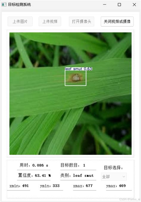 基于yolov11的水稻病害检测系统，支持图像、视频和摄像实时检测【pytorch框架、python源码】 Csdn博客