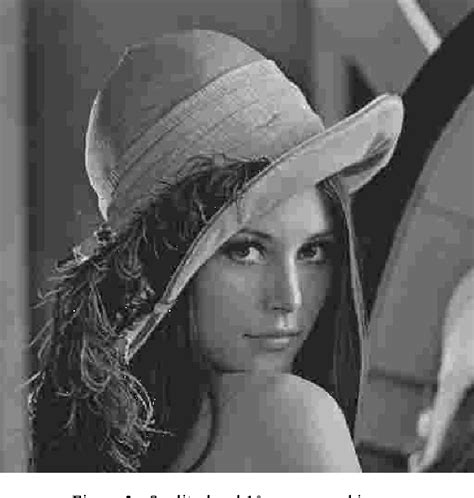 Figure 2 From Jpeg Quantization Tables Selection By The Firefly Algorithm Semantic Scholar