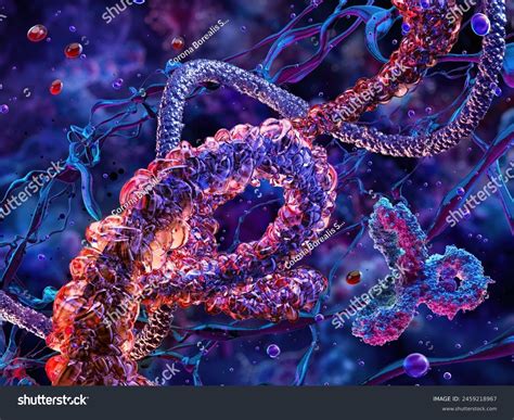 3d Protein Molecules Structure Formed By 库存插图 2459218967 Shutterstock