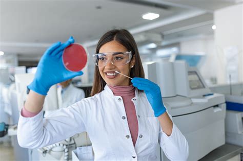 과학자는 다양한 박테리아 조직 및 혈액 샘플로 페트리 접시를 사용합니다 항생제 의약품 개발의 개념 Dna 강화 약물로 질병 치료 미생물학에 대한 스톡 사진 및 기타 이미지