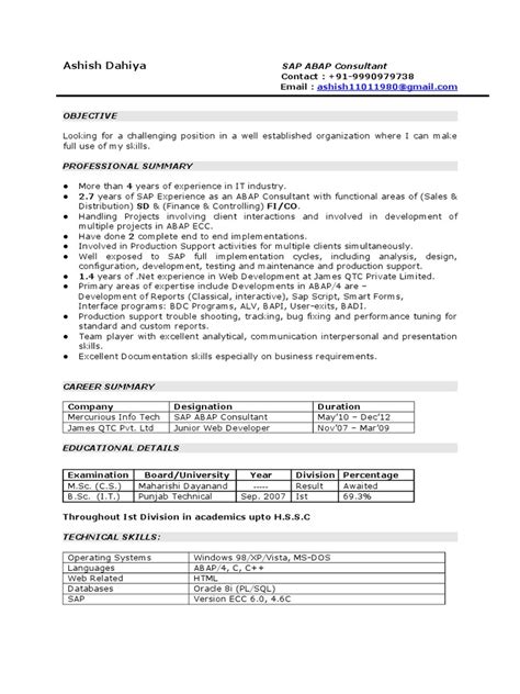 abap pdf information technology software