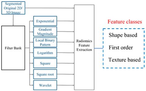 Bioengineering Special Issue Applications Of Computational Modeling In Biomedical Image And