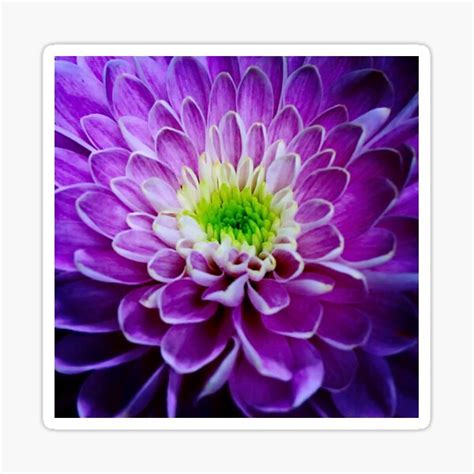 Earth Angels Collection 3991 Sticker For Sale By Earth Angels Redbubble