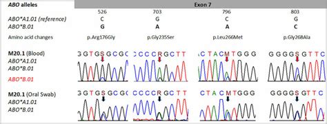Data From Sequencing Of The ABO Gene Direct Sequencing Reveal Signals Download Scientific
