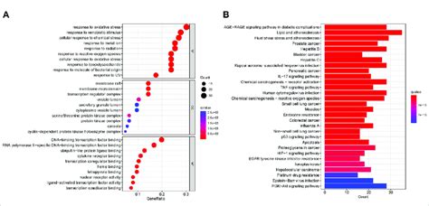Enrichment Analysis A Bubble Plot Of Go Enrichment Analysis Including