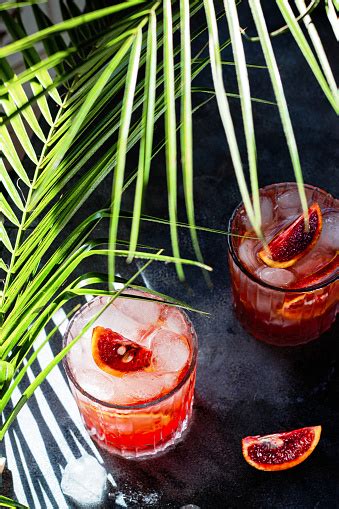 콘크리트 배경에 혈액 오렌지와 얼음 조각이있는 차가운 미네랄 워터가있는 유리 열대 야자 잎 그림자 햇빛과 그림자 배경 0명에