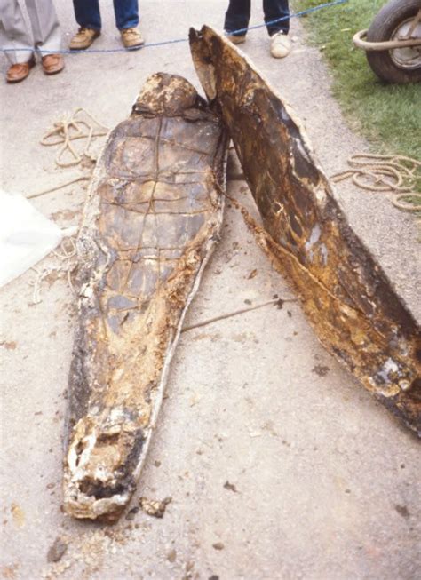 The Medieval Mummy Mystery Uncovering The Secrets Of St Bees Man History