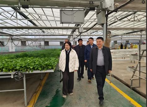 《河南经济报》：科技赋能春意浓 省级专家团队赴禹州开展中药材全链条调研指导 河南省农业科学院
