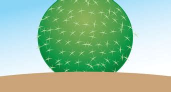 How To Use A Compass Instructions Tips For Beginners