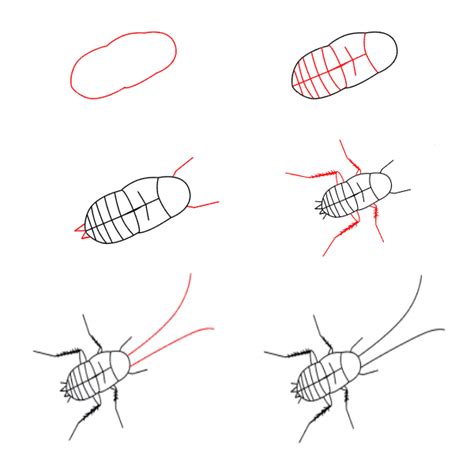 20 Easy Cockroaches Drawing Ideas Drawing Photos