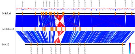【课程】基因组结构分析神器easyfig实操精品课 上海唯那生物官网